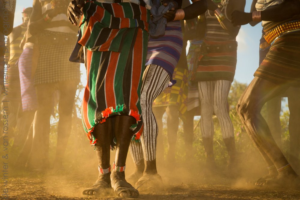 Hamar Bull Jumping — winterlight