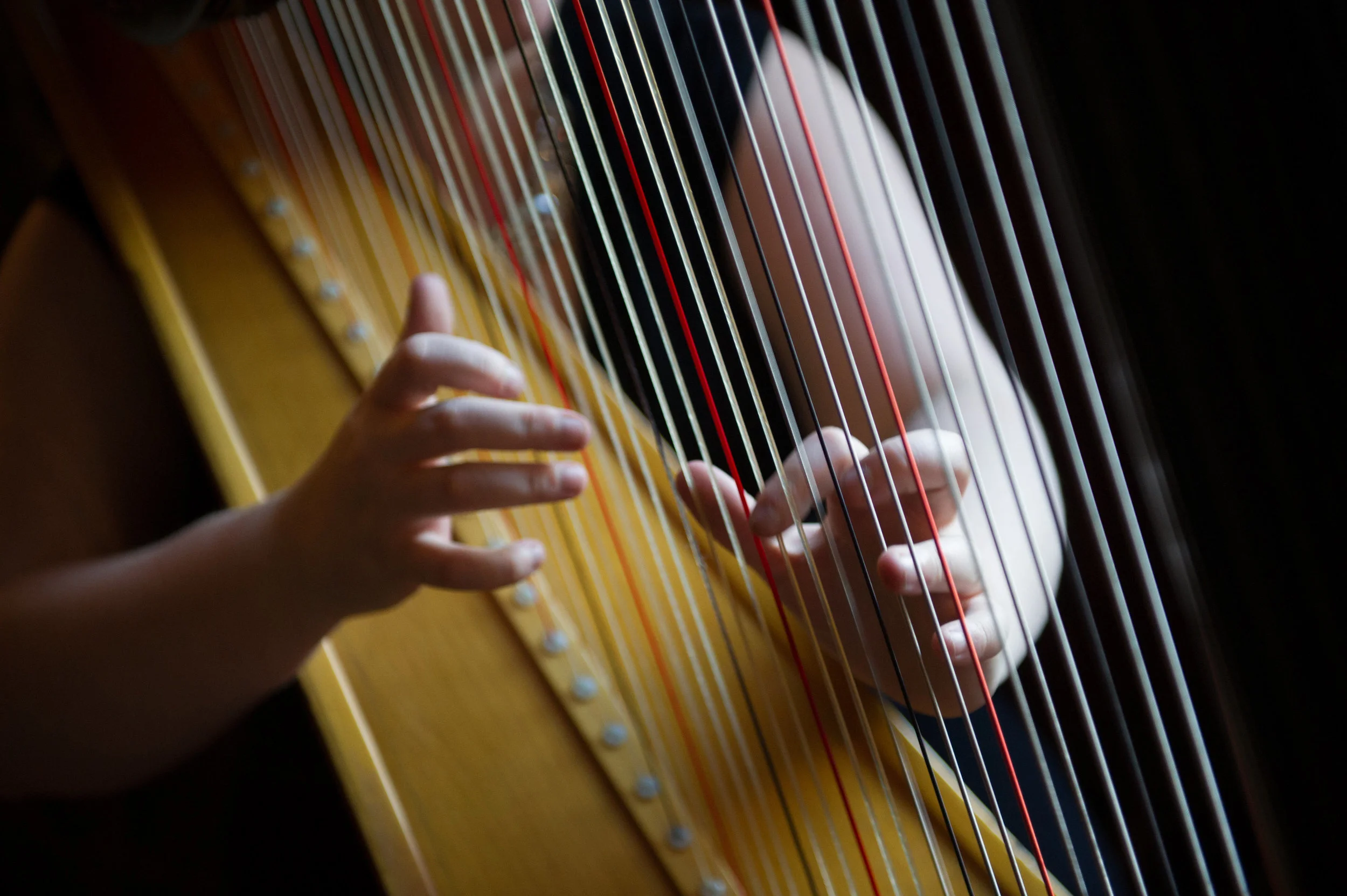 Gallery — Laura Stokes Harpist