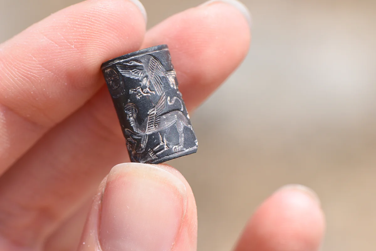 Tel Shimron Excavations - Volunteer Archaeology Digs