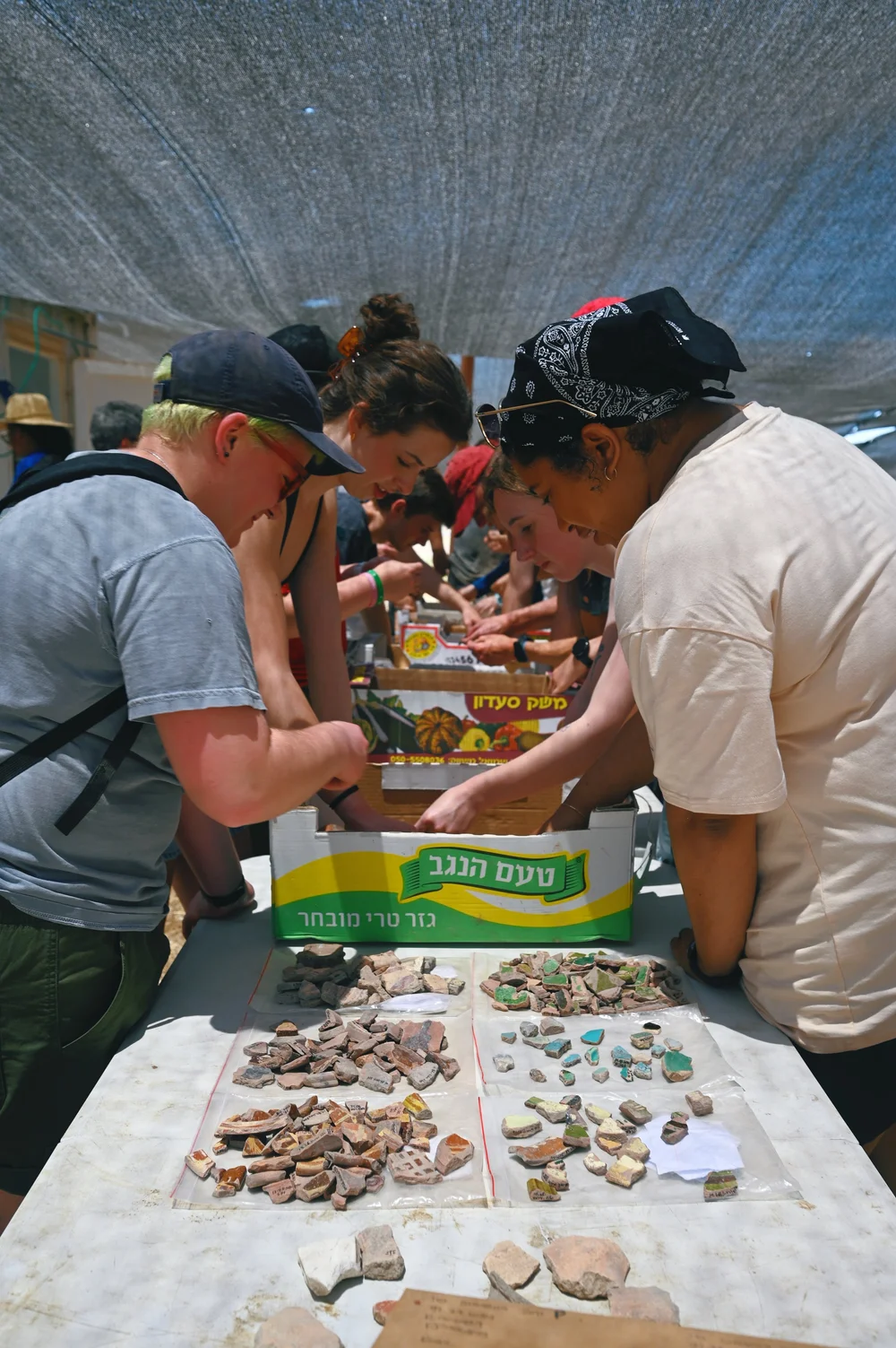Tel Shimron Excavations