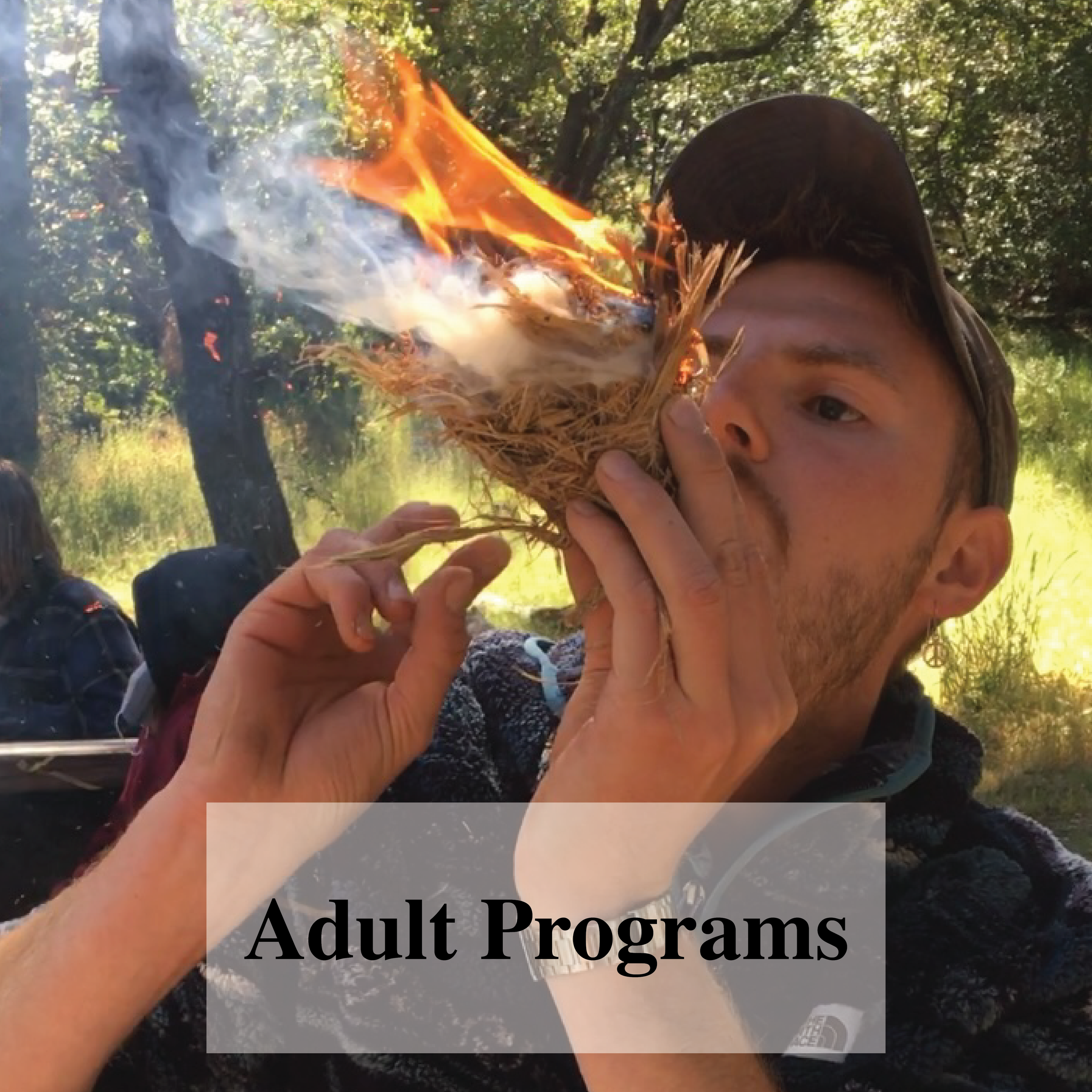 Adult Nature Programs