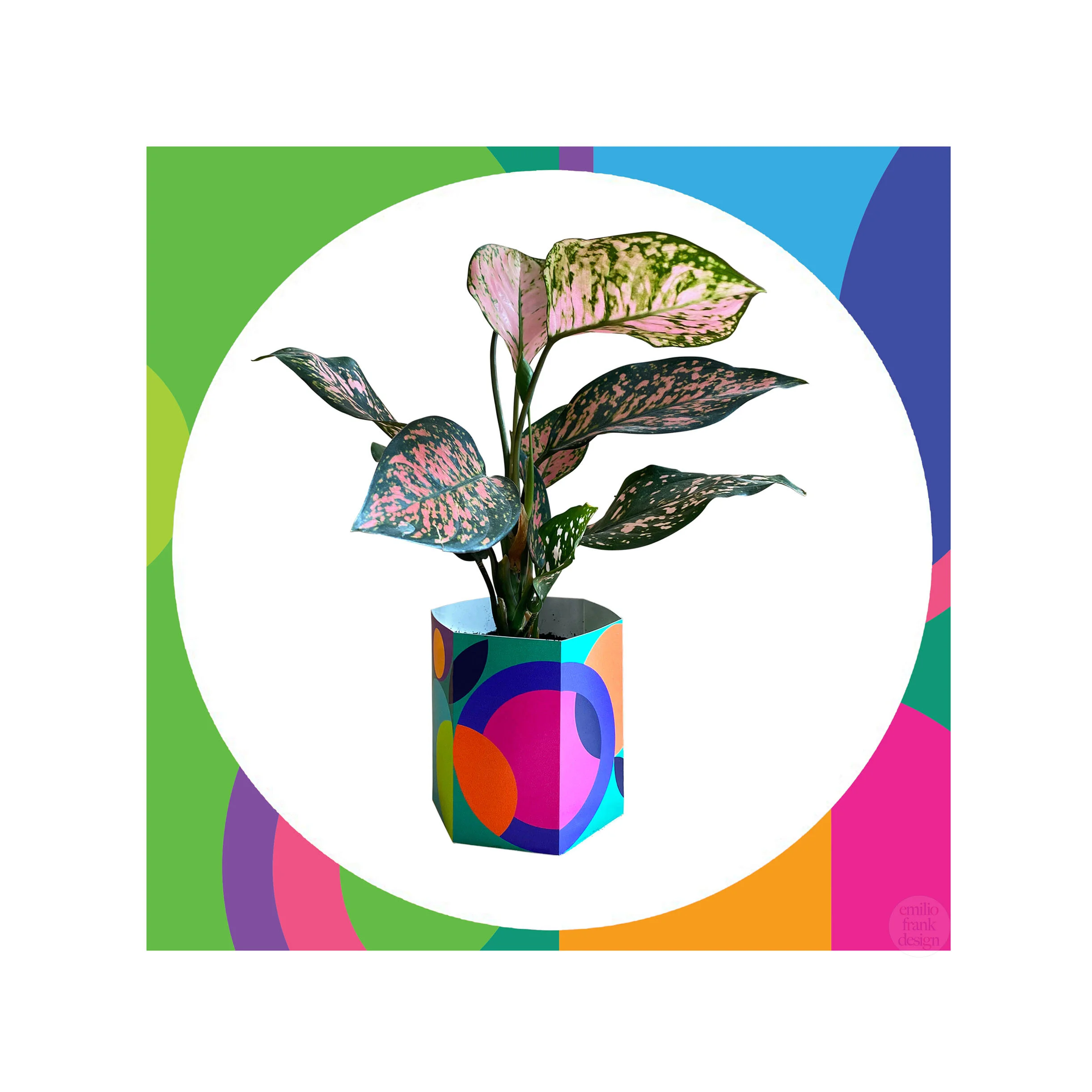 Welcome Colour Lovers! The Emilio Frank Design shop offers modernist ...