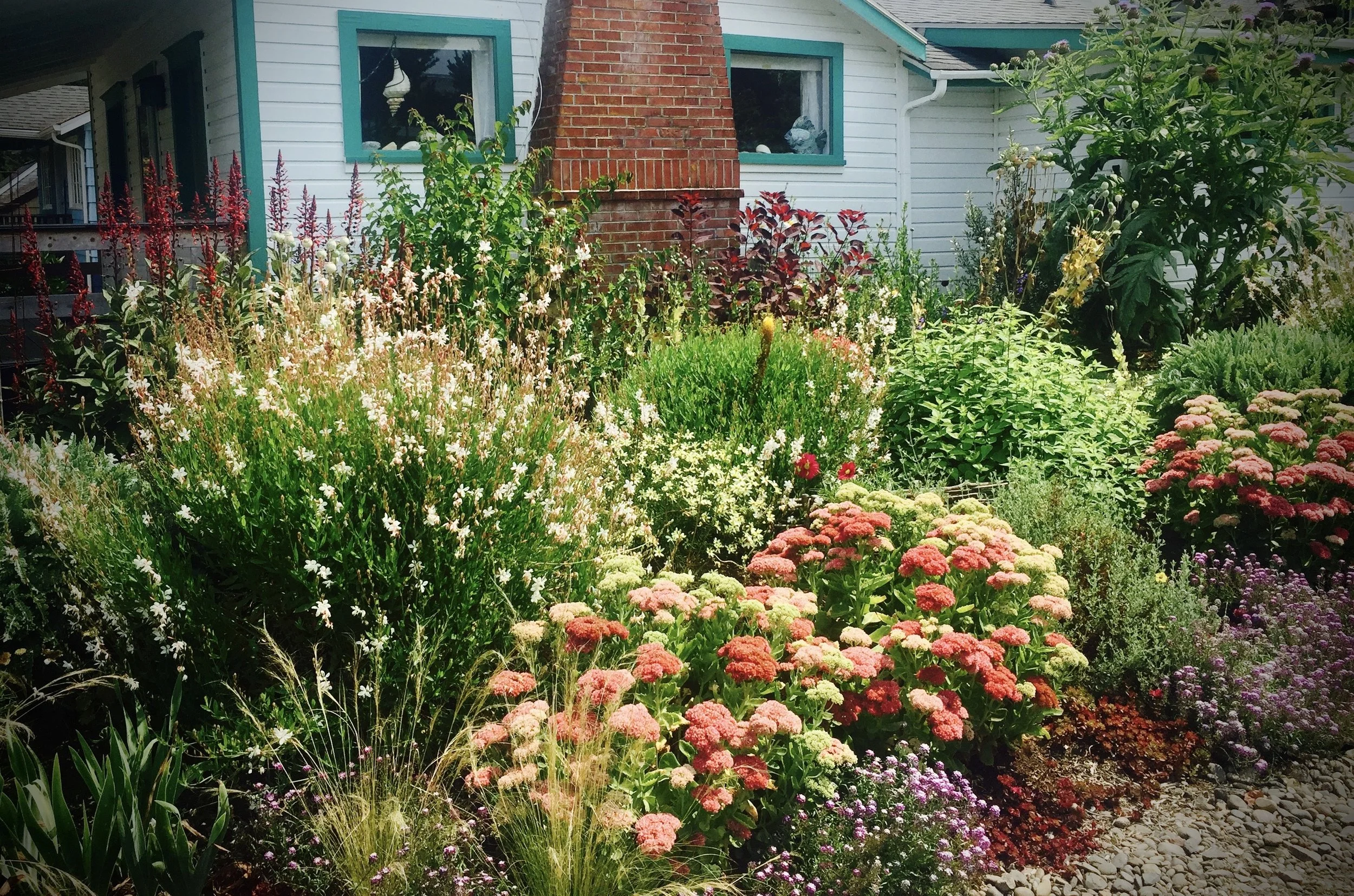 Coyote Gardens - Landscape Design, Build, and Care for the Oregon Coast