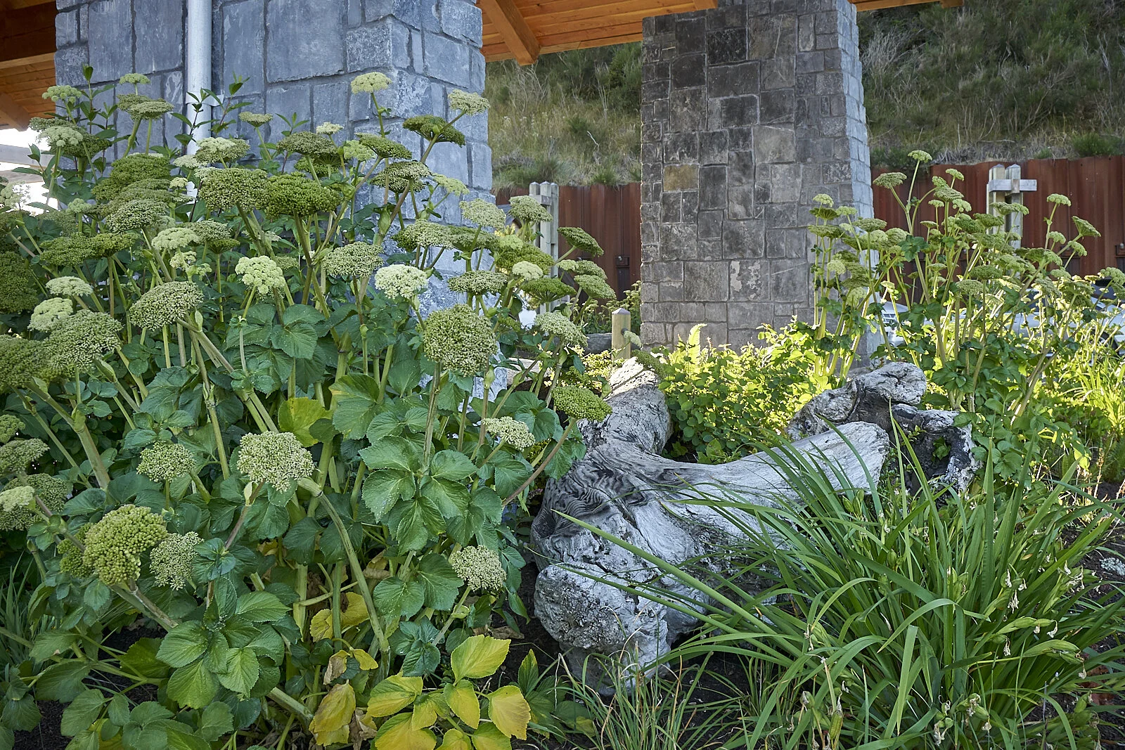 Coyote Gardens - Landscape Design, Build, and Care for the Oregon Coast