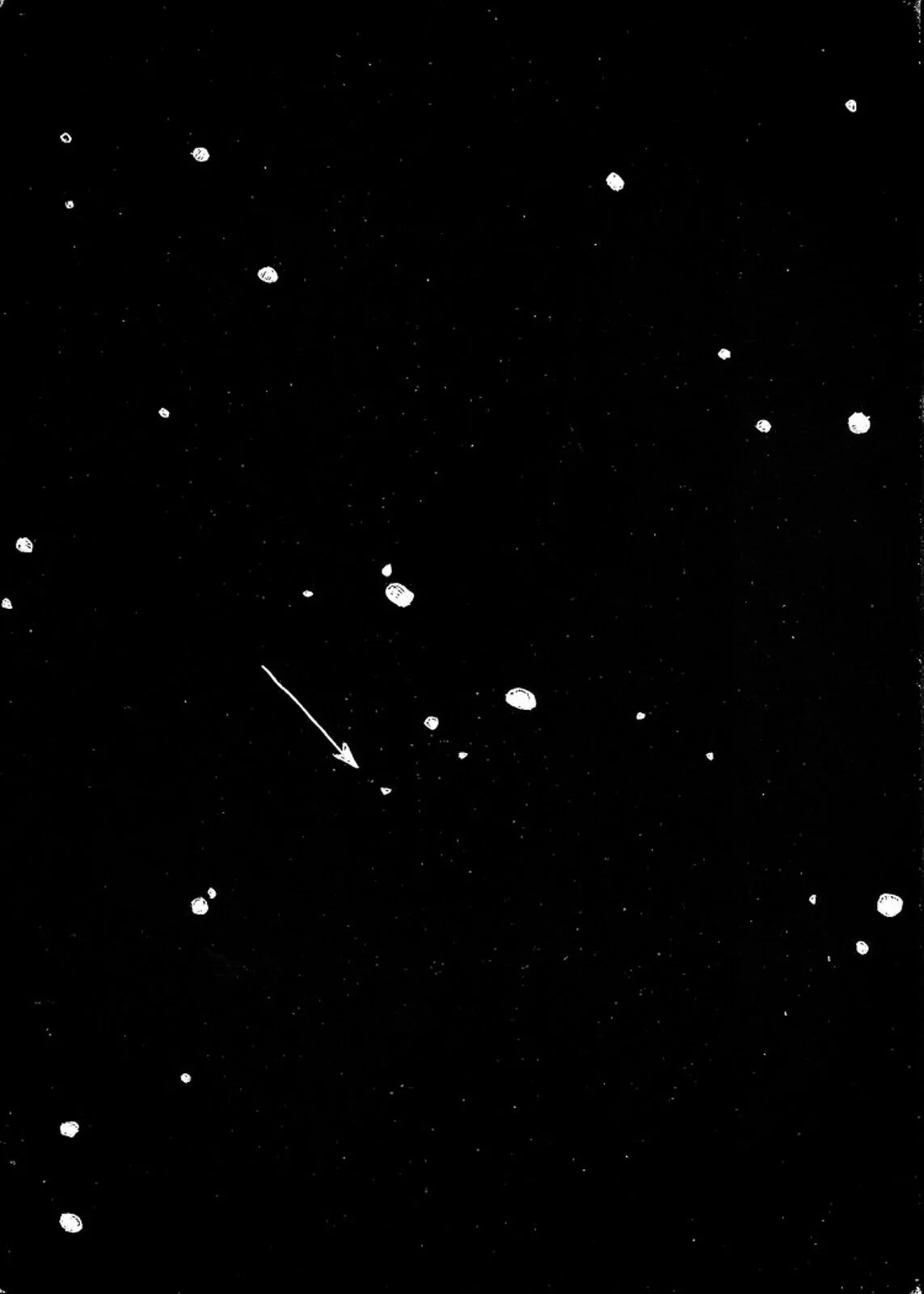 The order of things — Karley Sullivan