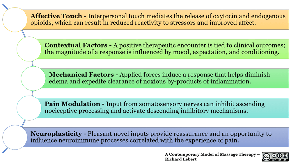 A Contemporary Approach to Massage Therapy — Richard Lebert Registered ...