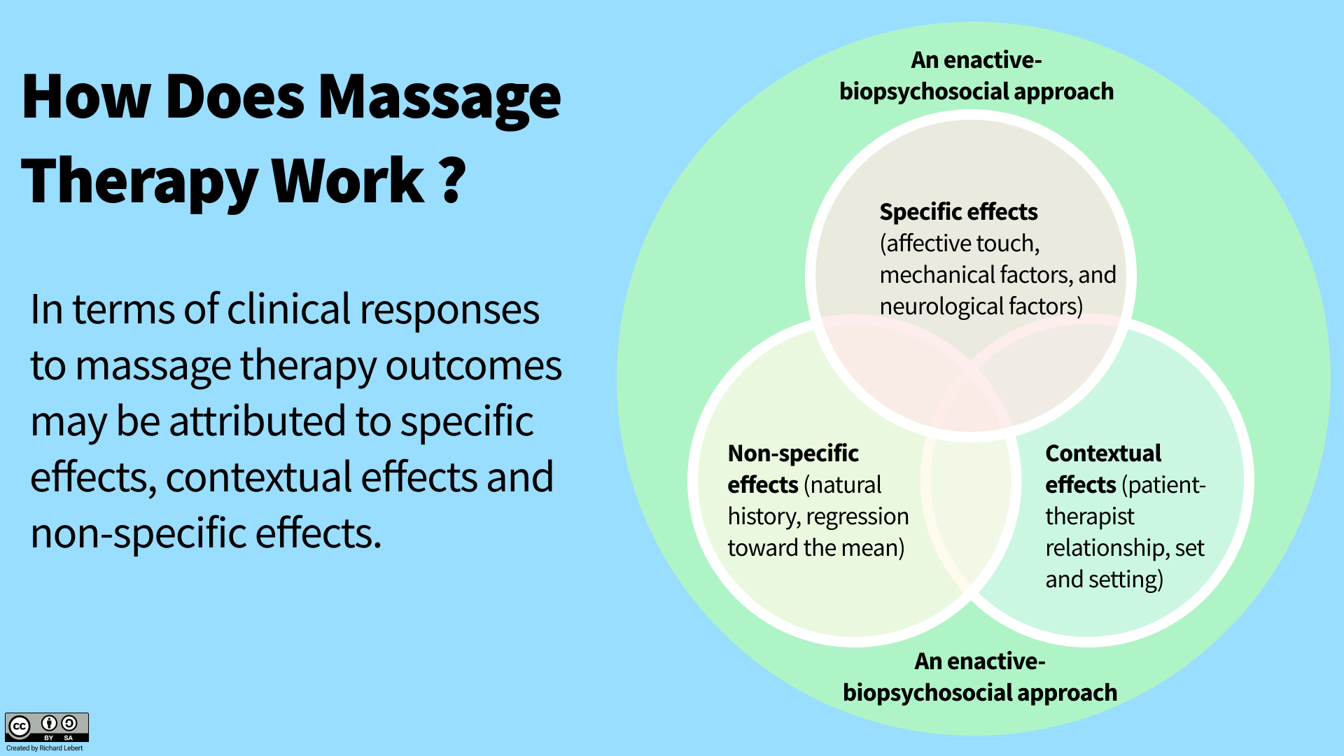 An Evidence Based Approach To Massage Therapy — Richard Lebert