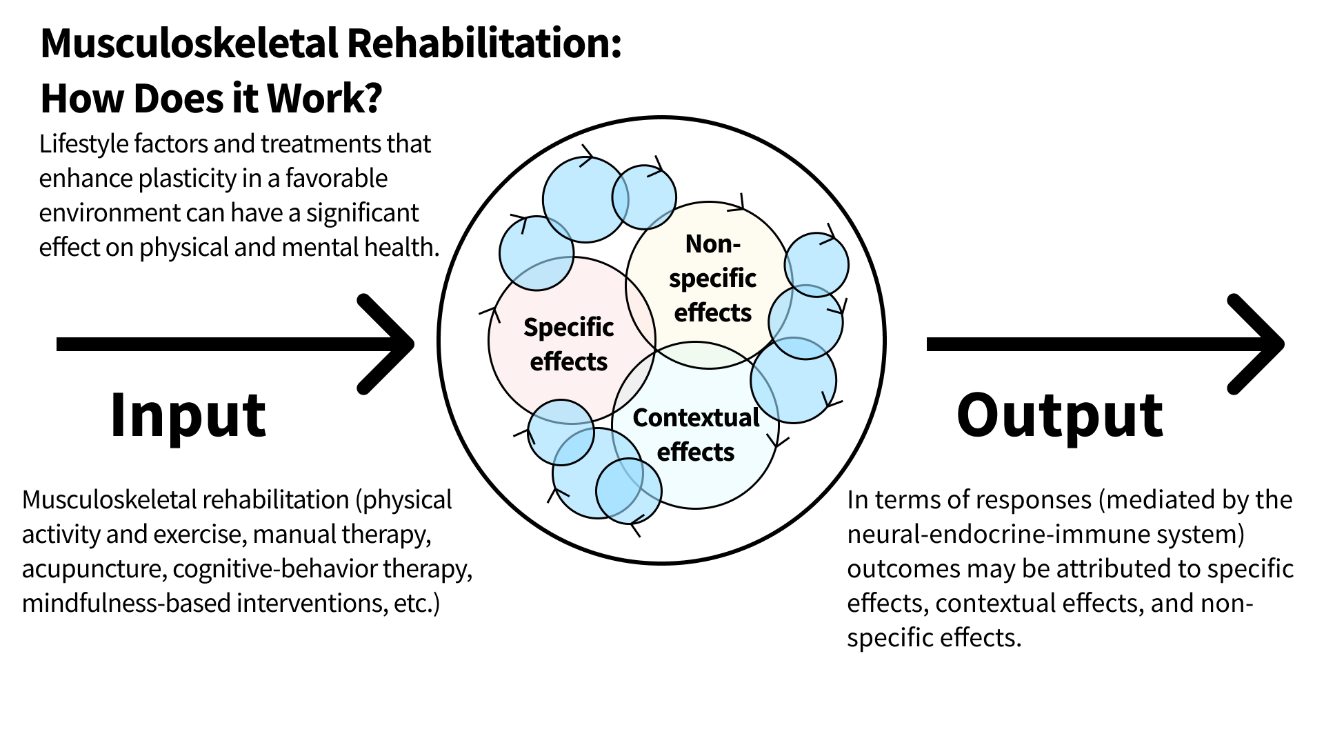 Musculoskeletal Pain and Treatment-Related Plasticity — Richard Lebert ...