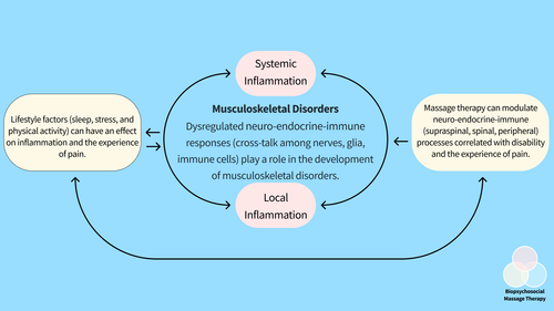 Massage Therapy for Musculoskeletal Disorders and Repetitive Strain ...