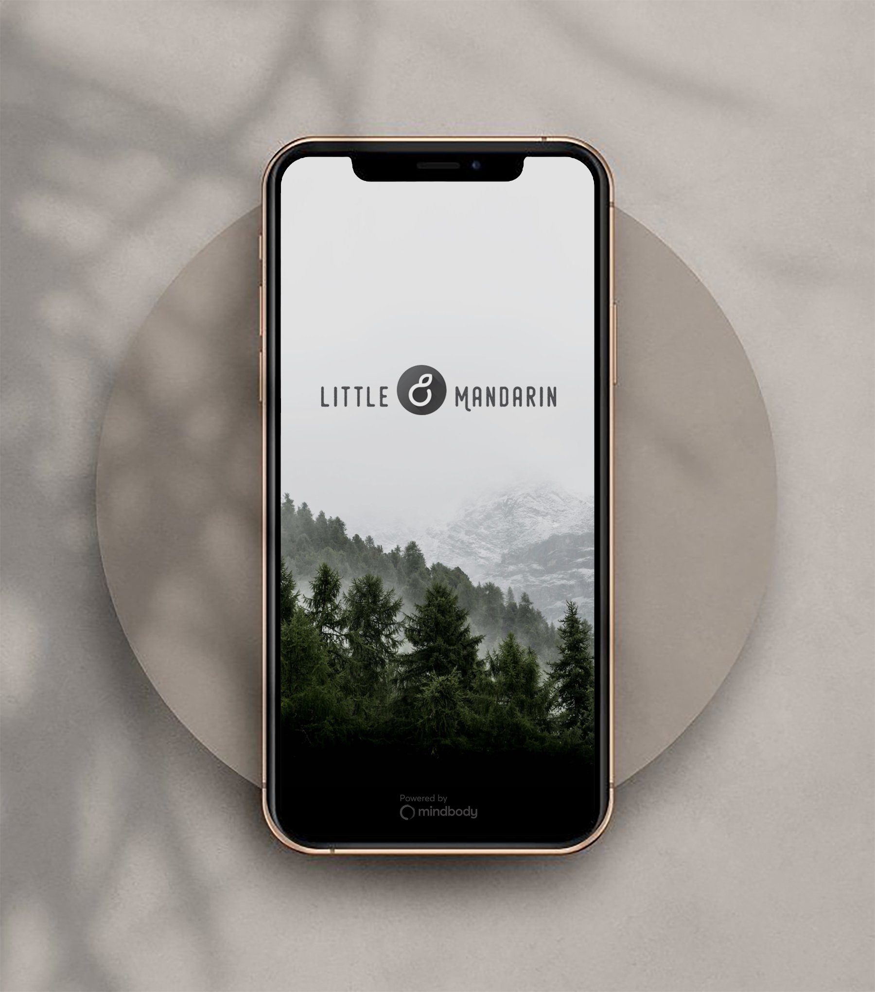 Timetable | LITTLE MANDARIN YOGA & PILATES