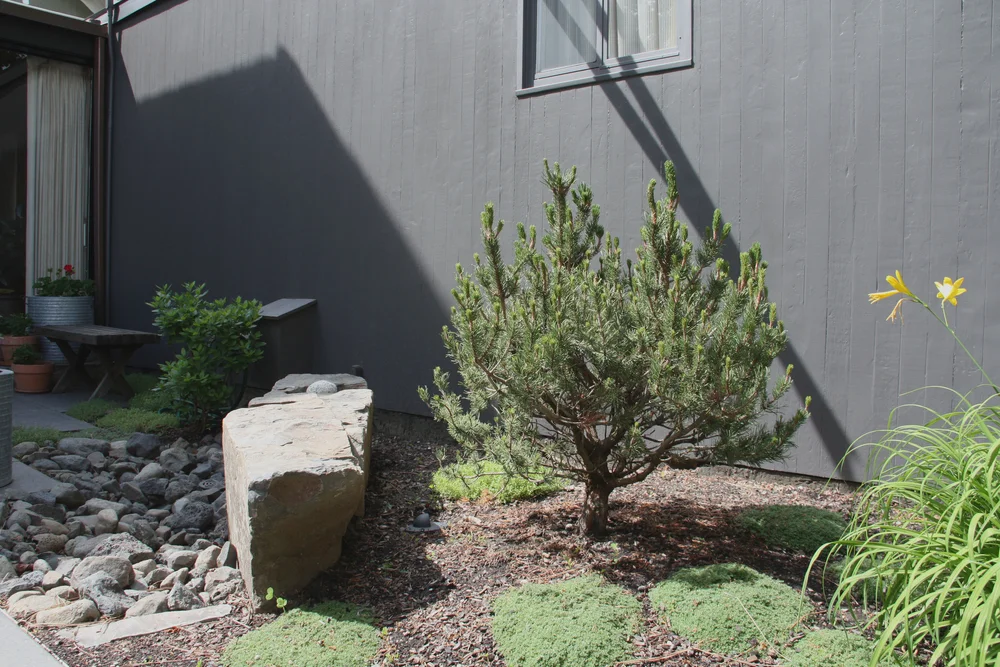 Cliff Park Modern - Spokane Landscape Design — Pacific Garden Design