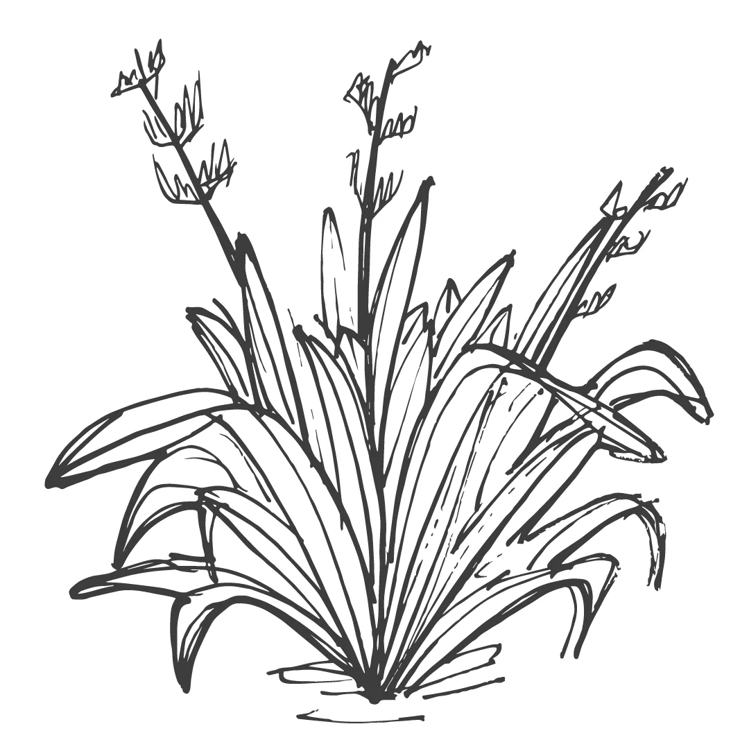 About Blueprint — Blueprint Church