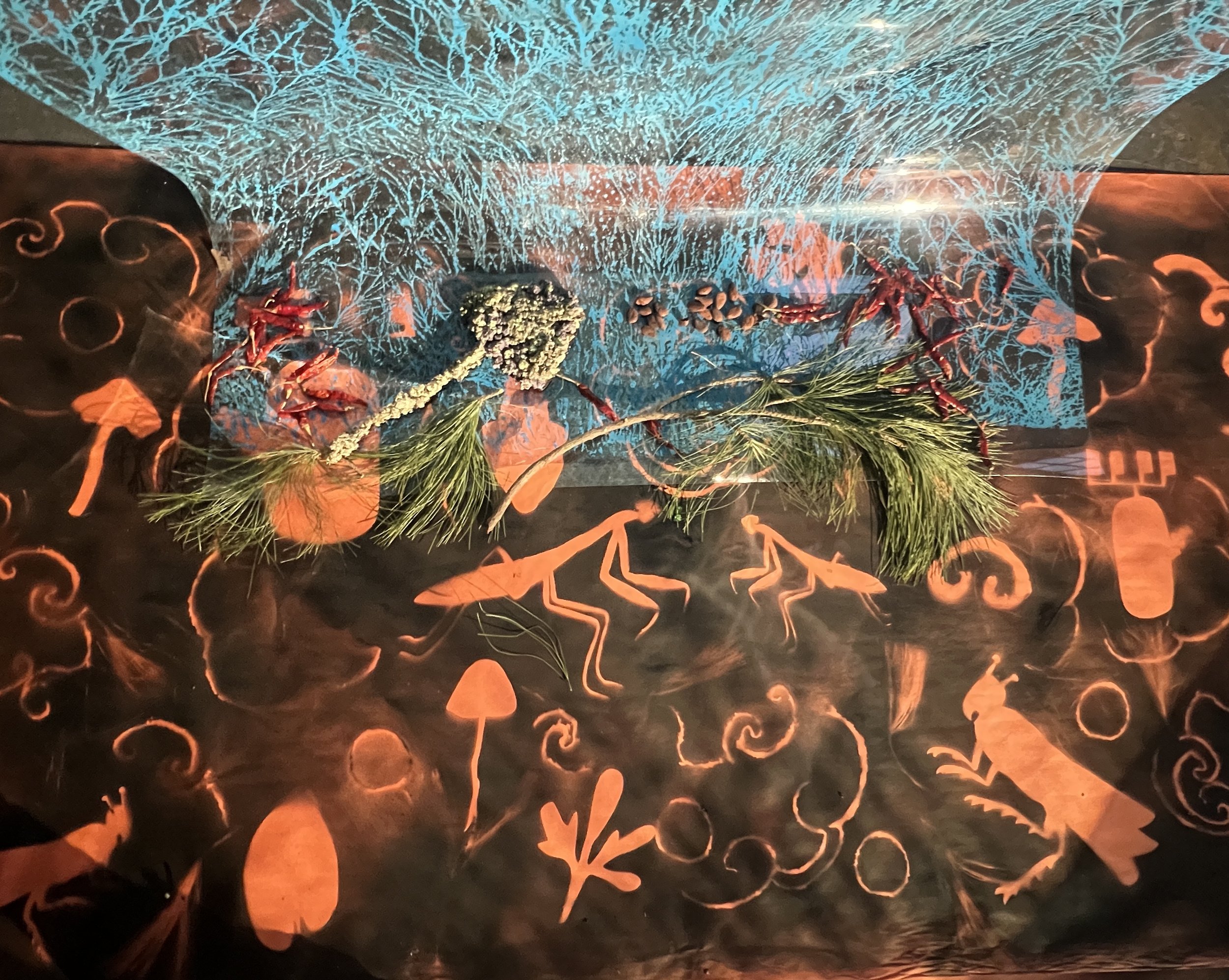 TLACUĀ PAHTIĀ — Wave Pool