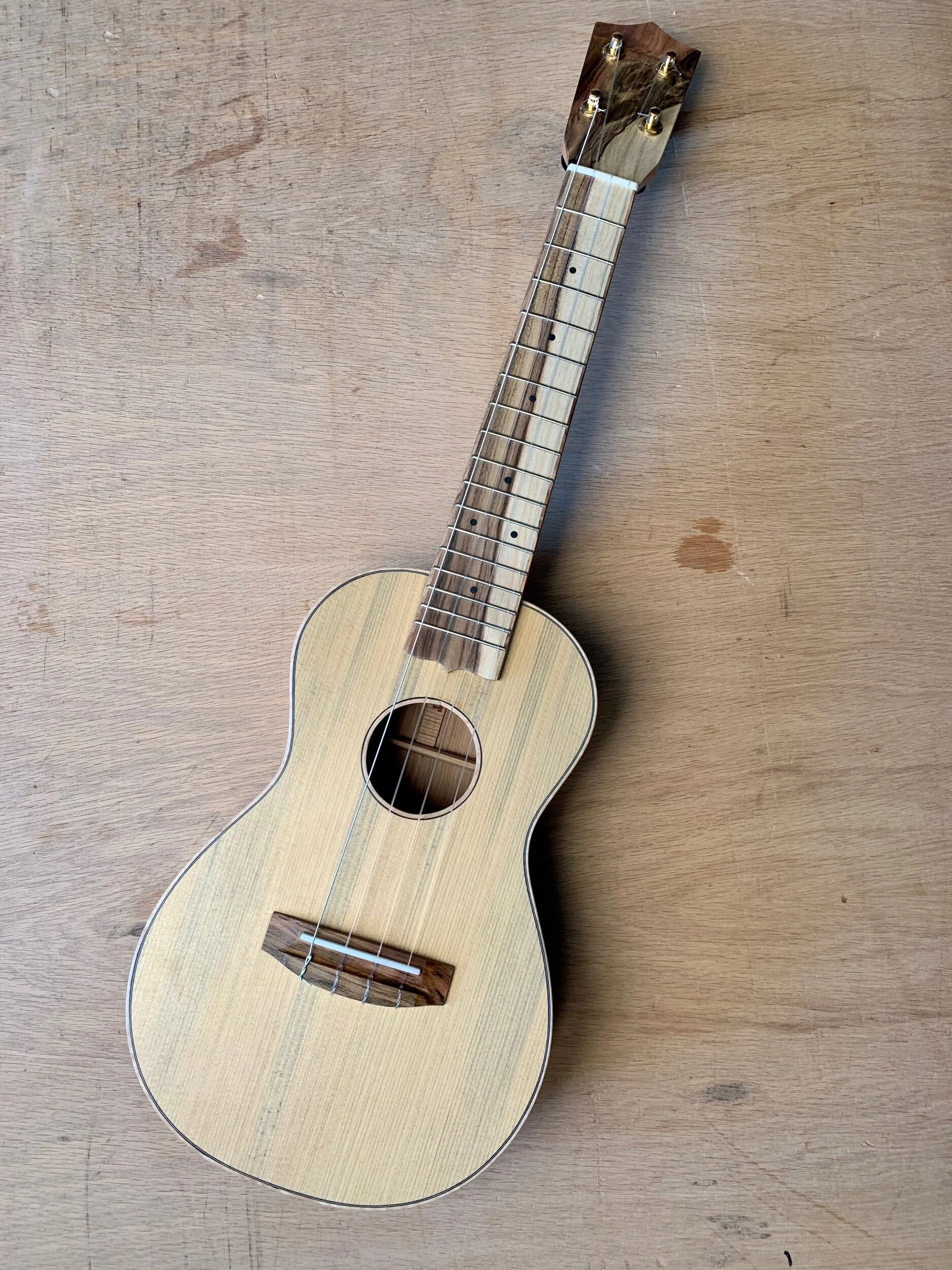 Gallery — Beansprout Musical Instruments