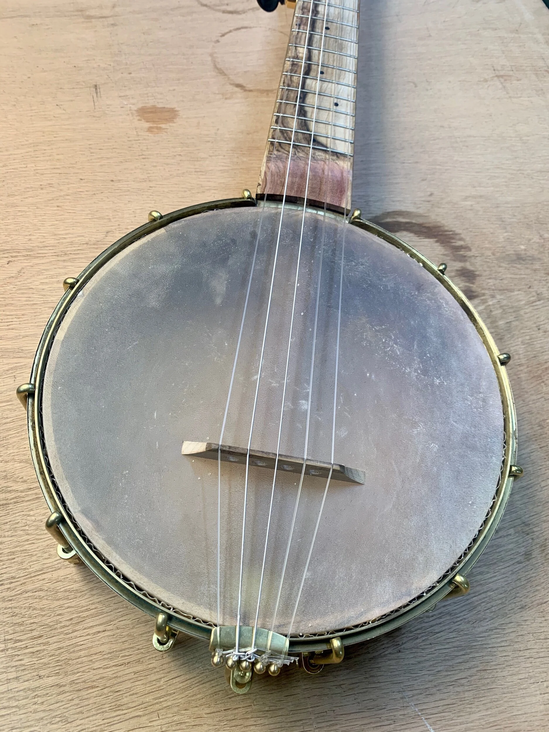 #499- Walnut and Pistachio Mini Five String Banjo — Beansprout Musical ...
