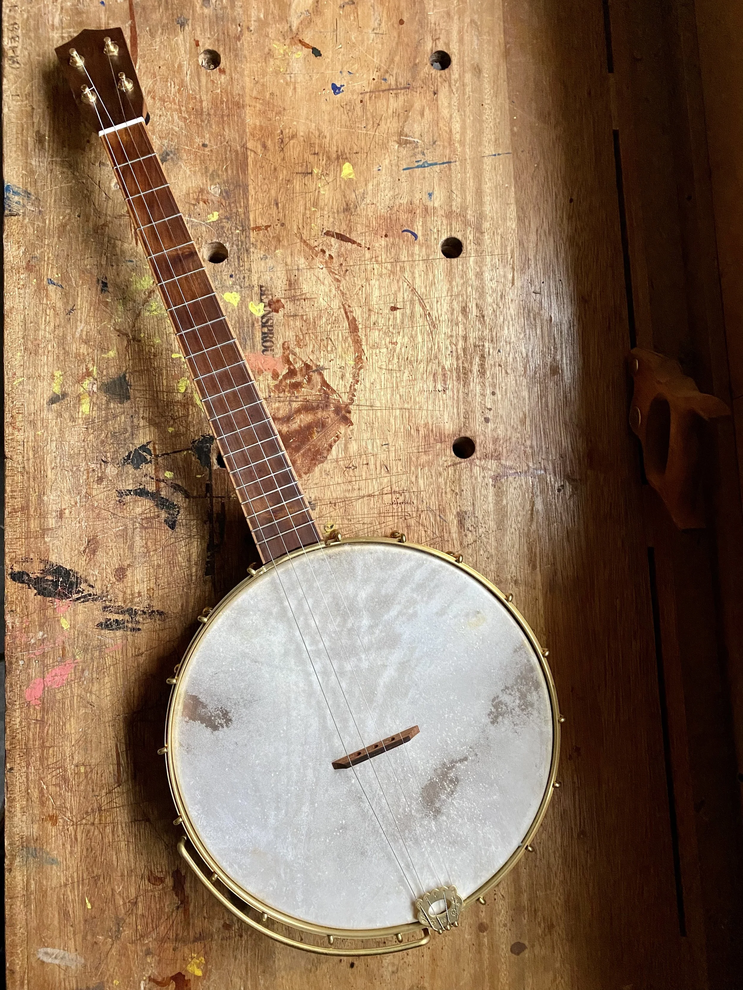 Banjos — Beansprout Musical Instruments