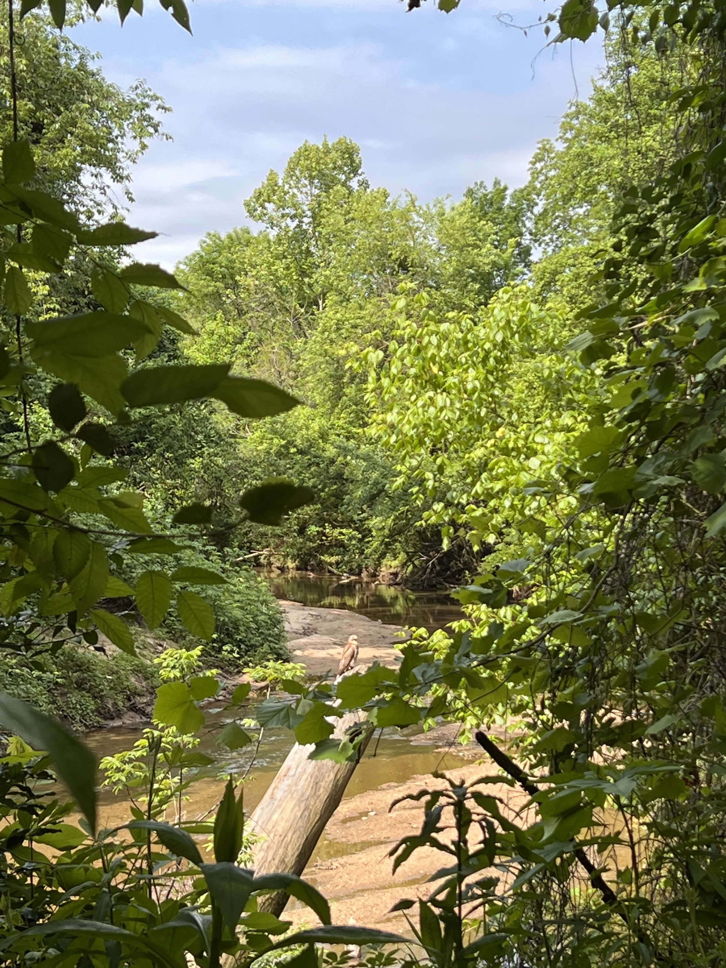 Lindridge Martin Manor Neighborhood AssociationLMMNA