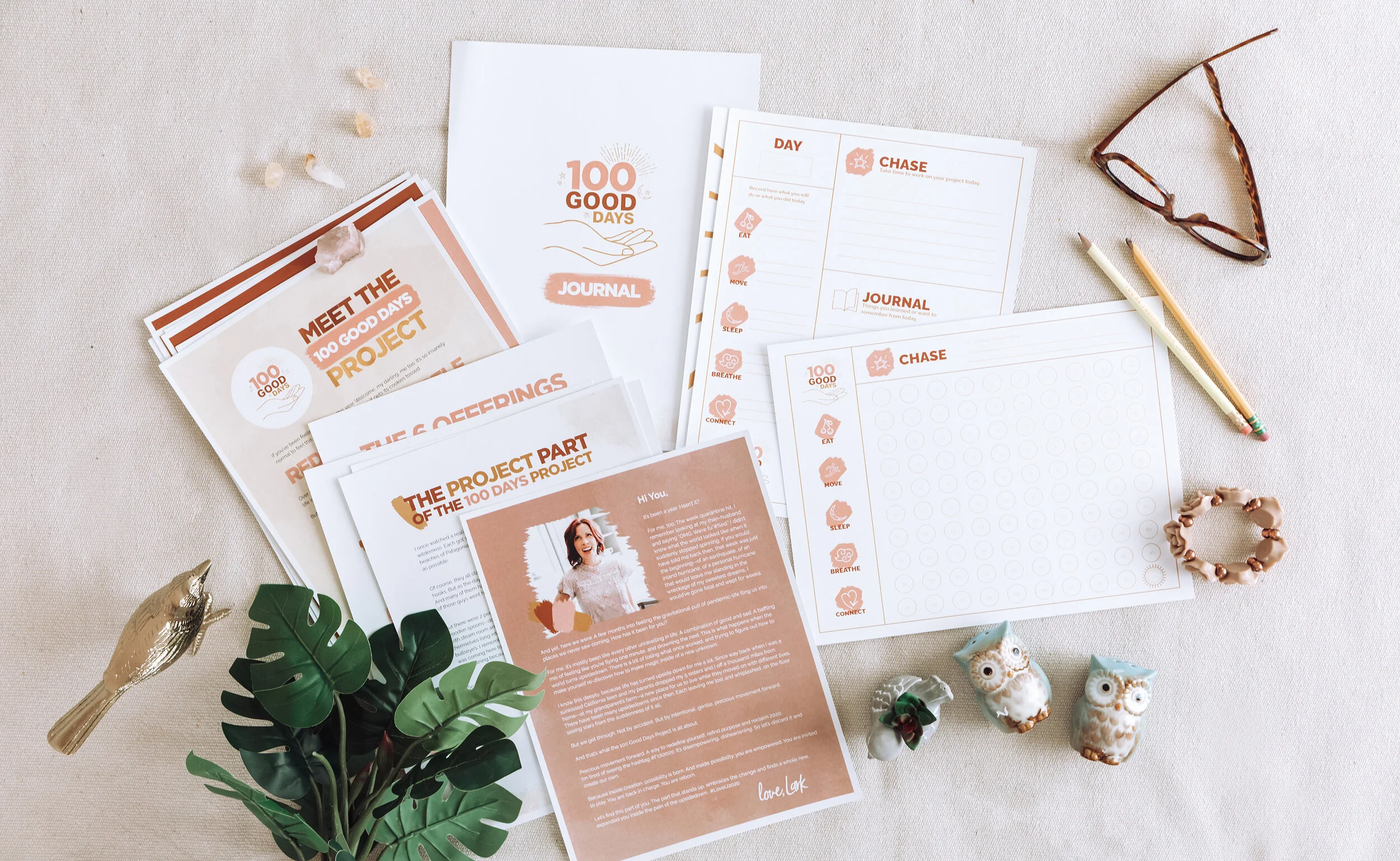 100 Good Days Project — Brooke Lark