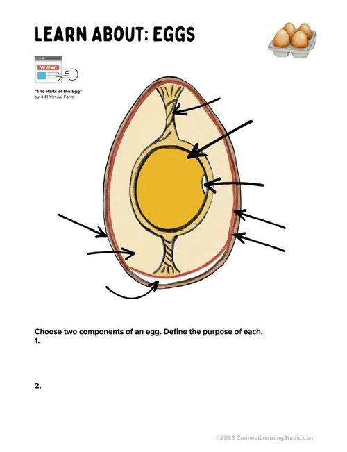 Applied Chemistry- Foodstuff Science — Foodstuff Science