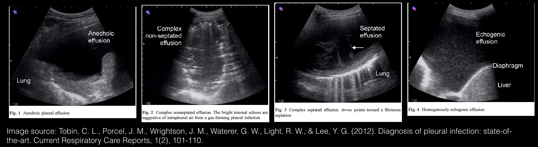 An elderly male presents following a syncopal event ... — Everyday E(B)M