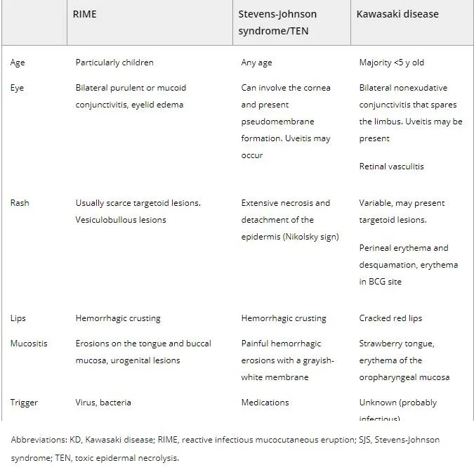 A 2 y.o. girl presents with a rash and fever. — WashU EM Blog