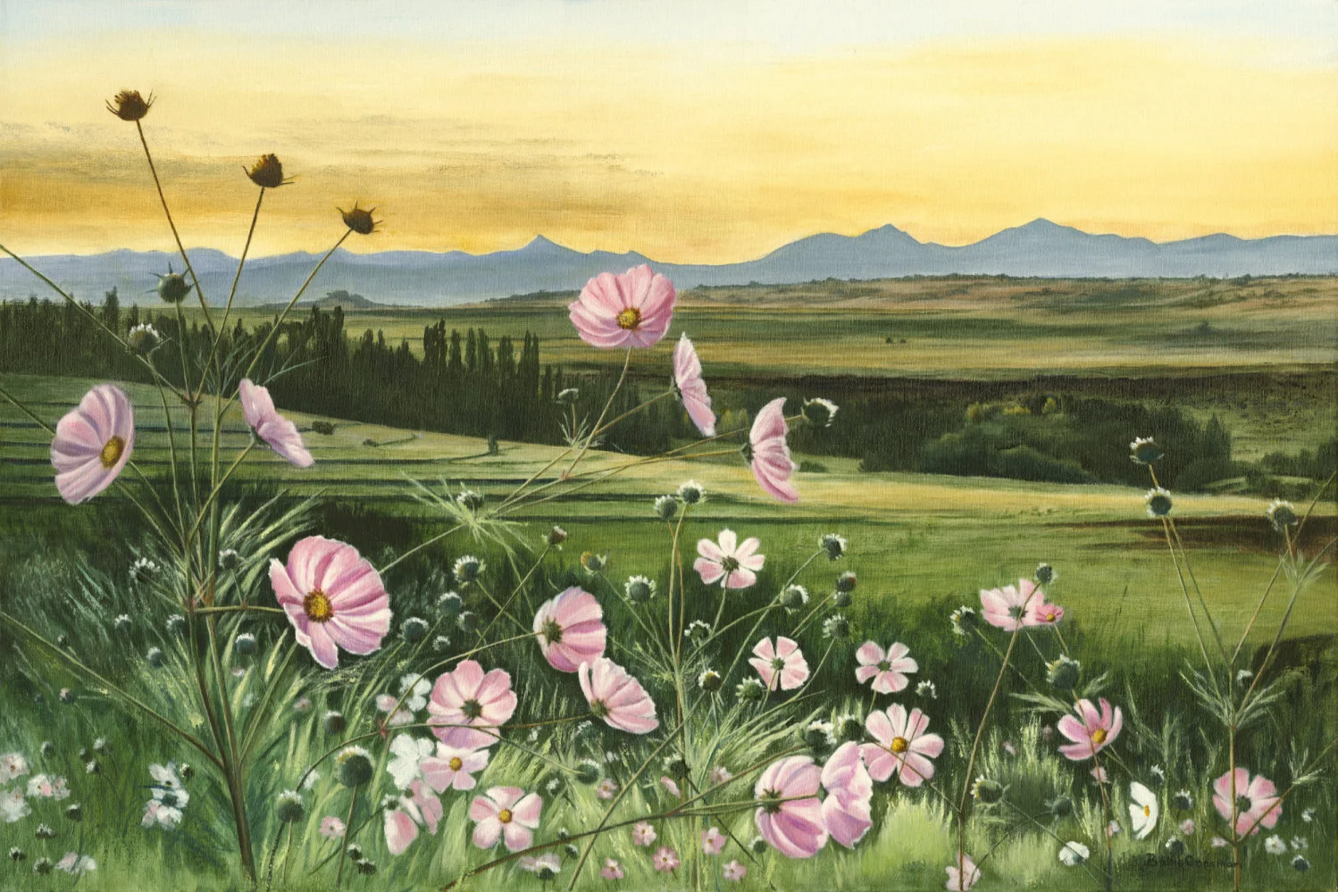 Artists — Alliance for the Visual Arts