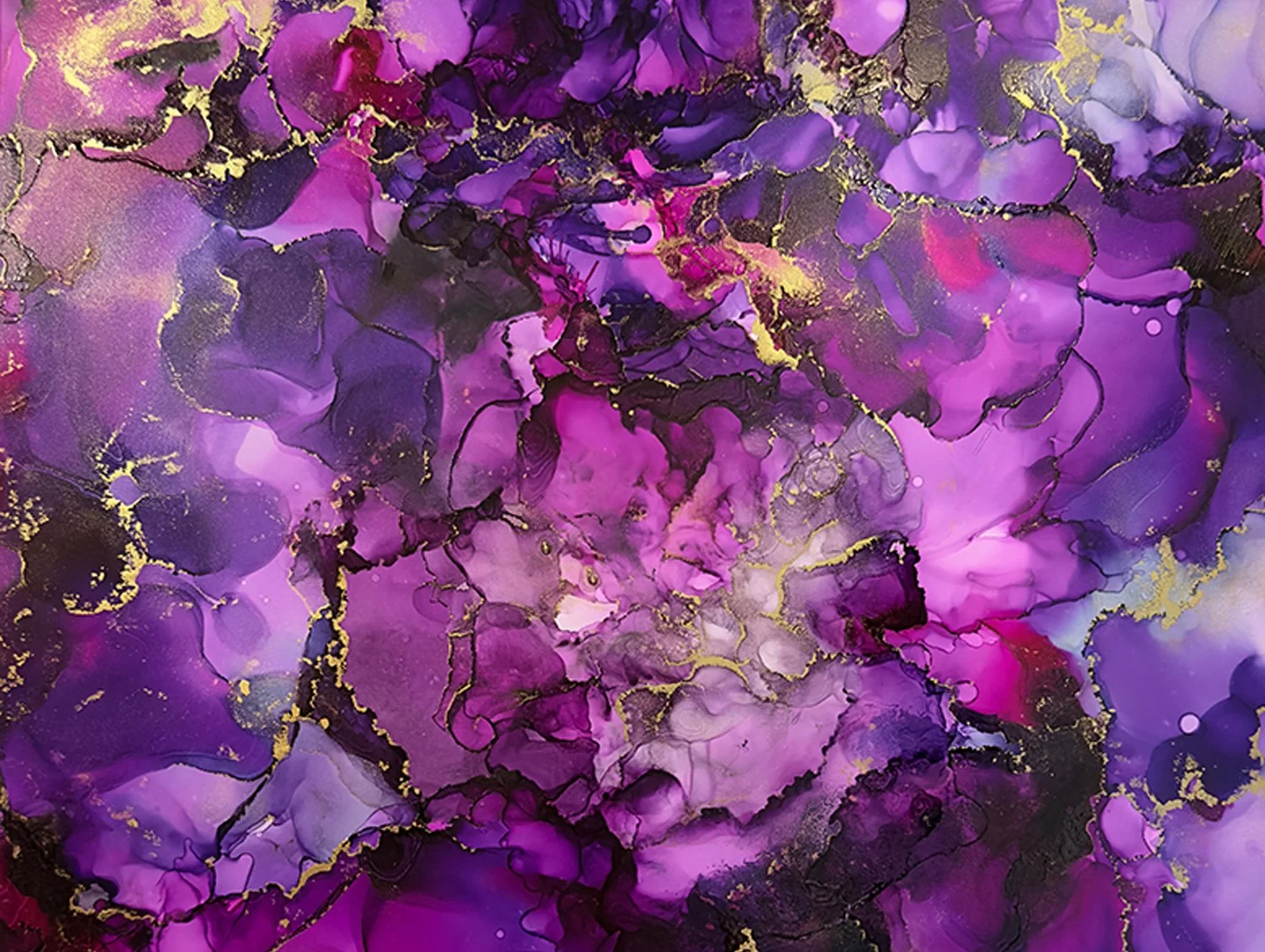 Artists — Alliance for the Visual Arts