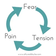 The Effects of Fear on Labor — Attuned Doula Services