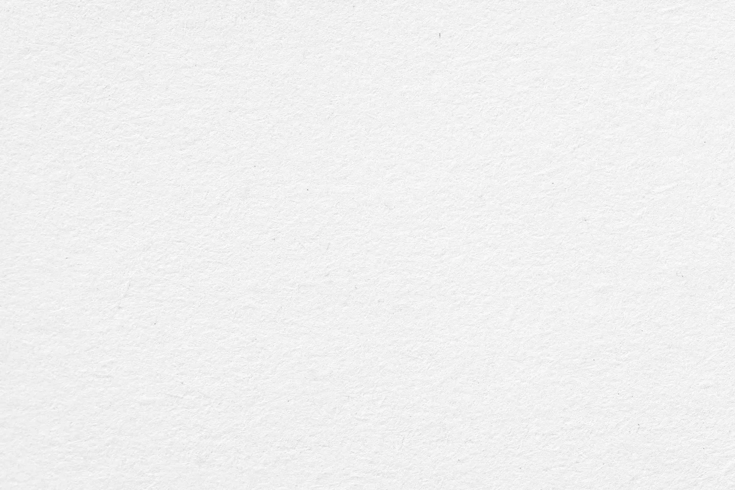 Your Partner in Paper | Finch's History — Finch Paper, LLC