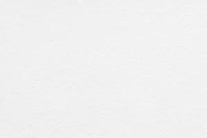 Your Partner in Paper | About Finch — Finch Paper, LLC