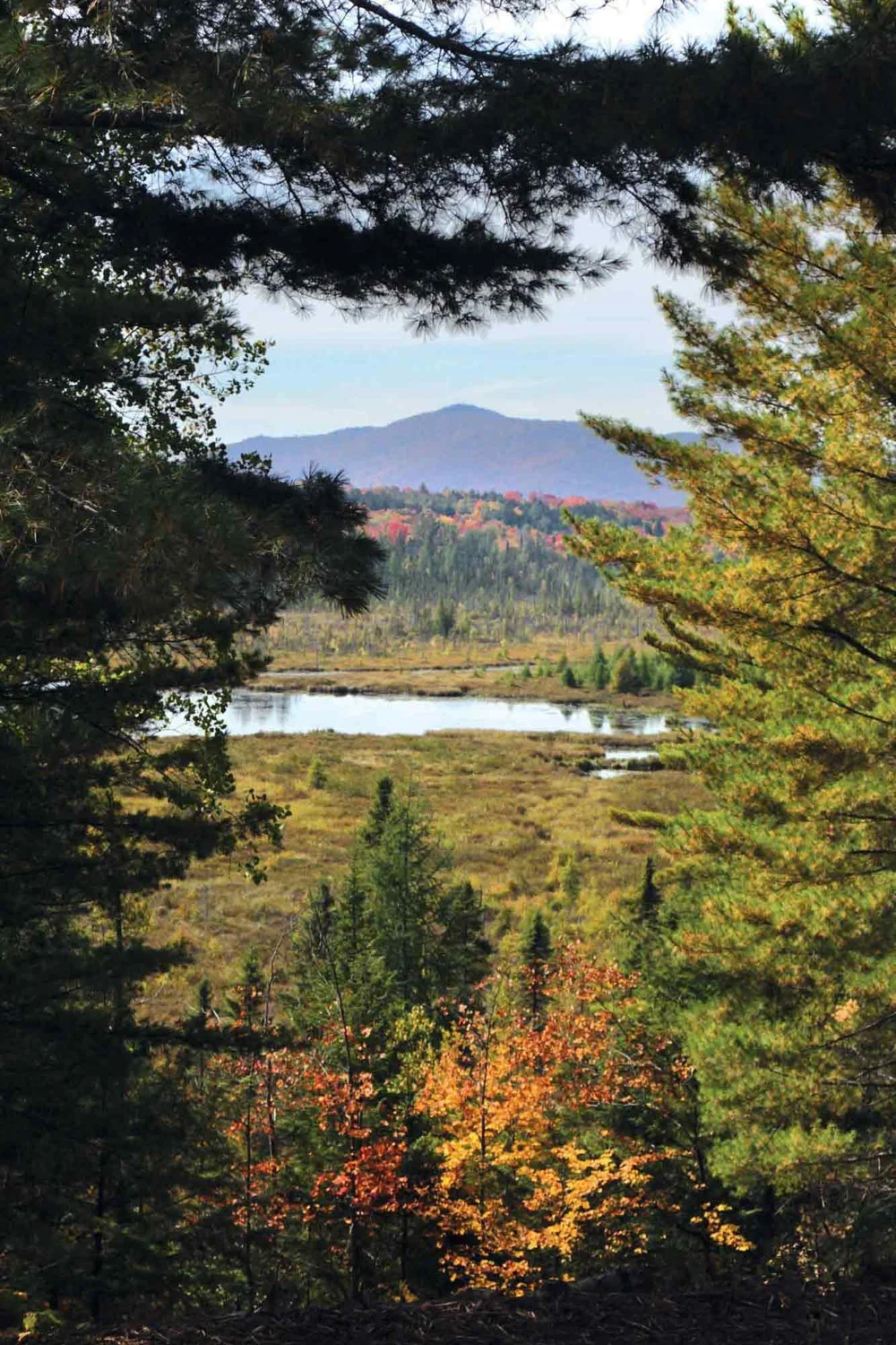Finch's Environmental Sustainability — Finch Paper, LLC