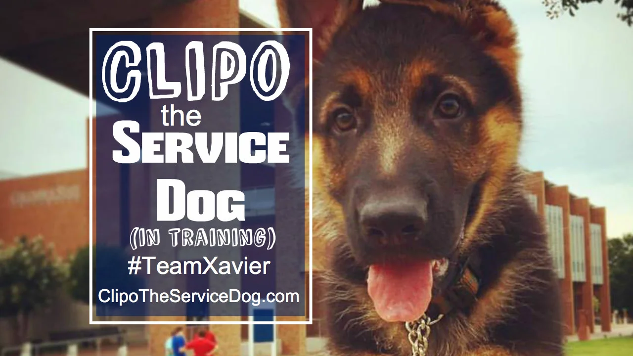 What I learn from Xavier — Finding Christ[in]a Story