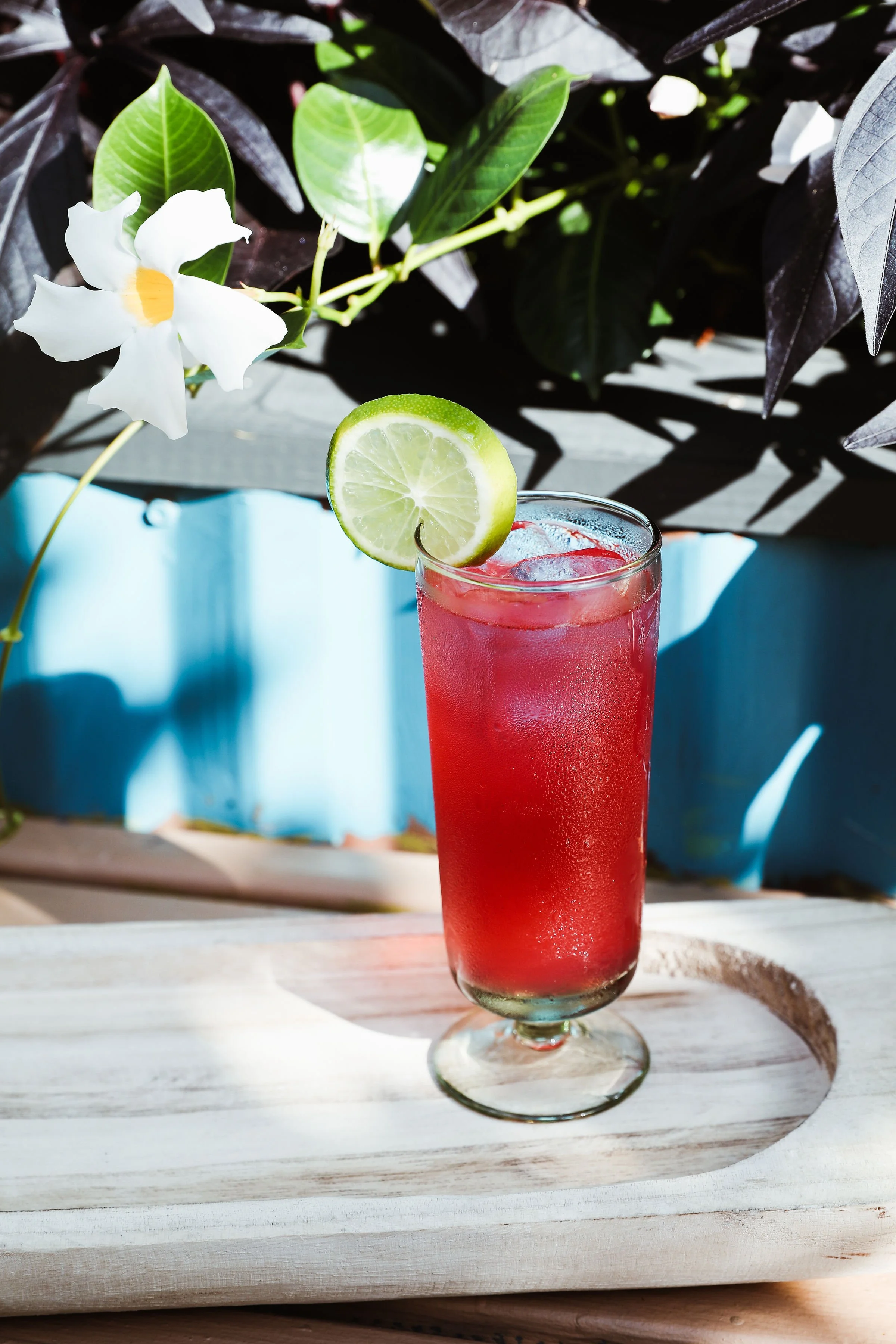 Saint Anejo — M Street