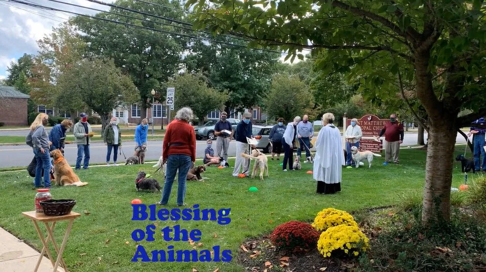 Blessing of the Animals — St. Matthew's Episcopal Church