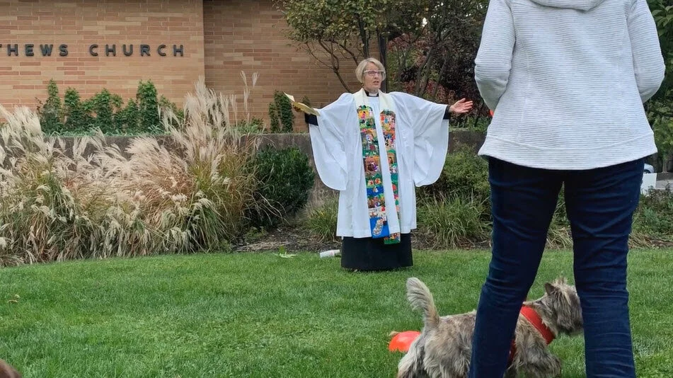 Blessing of the Animals — St. Matthew's Episcopal Church