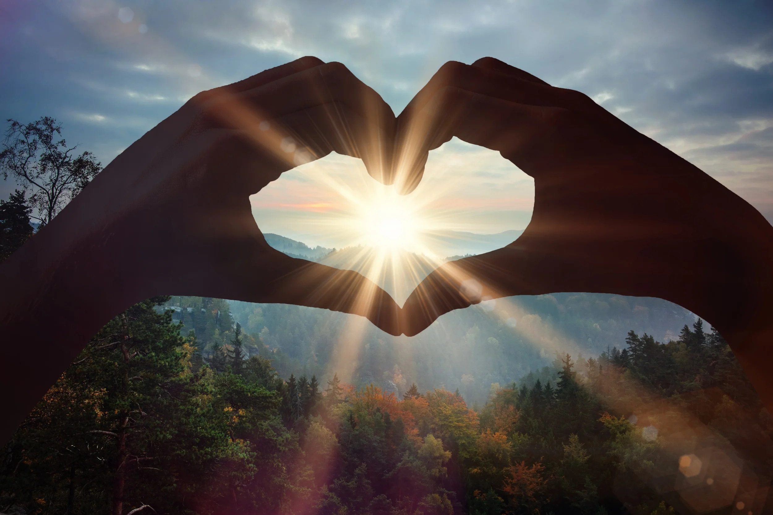 The Emotional Healing Experience — Emotional Healing Retreats