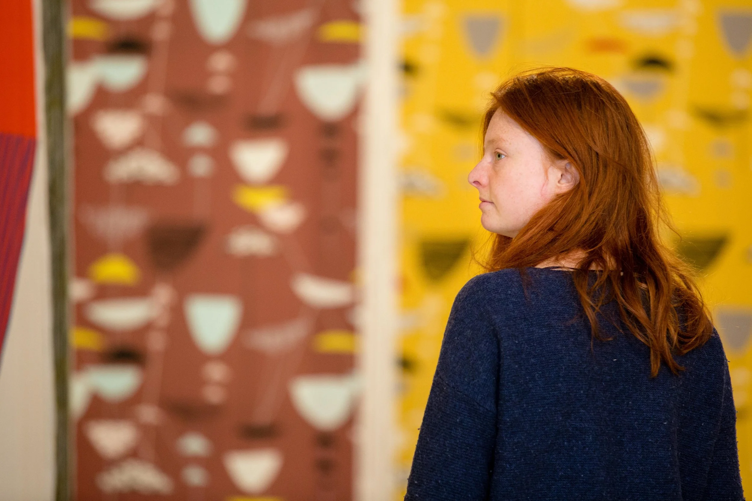 The Textiles of Lucienne Day by Jan Miller — New Brewery Arts