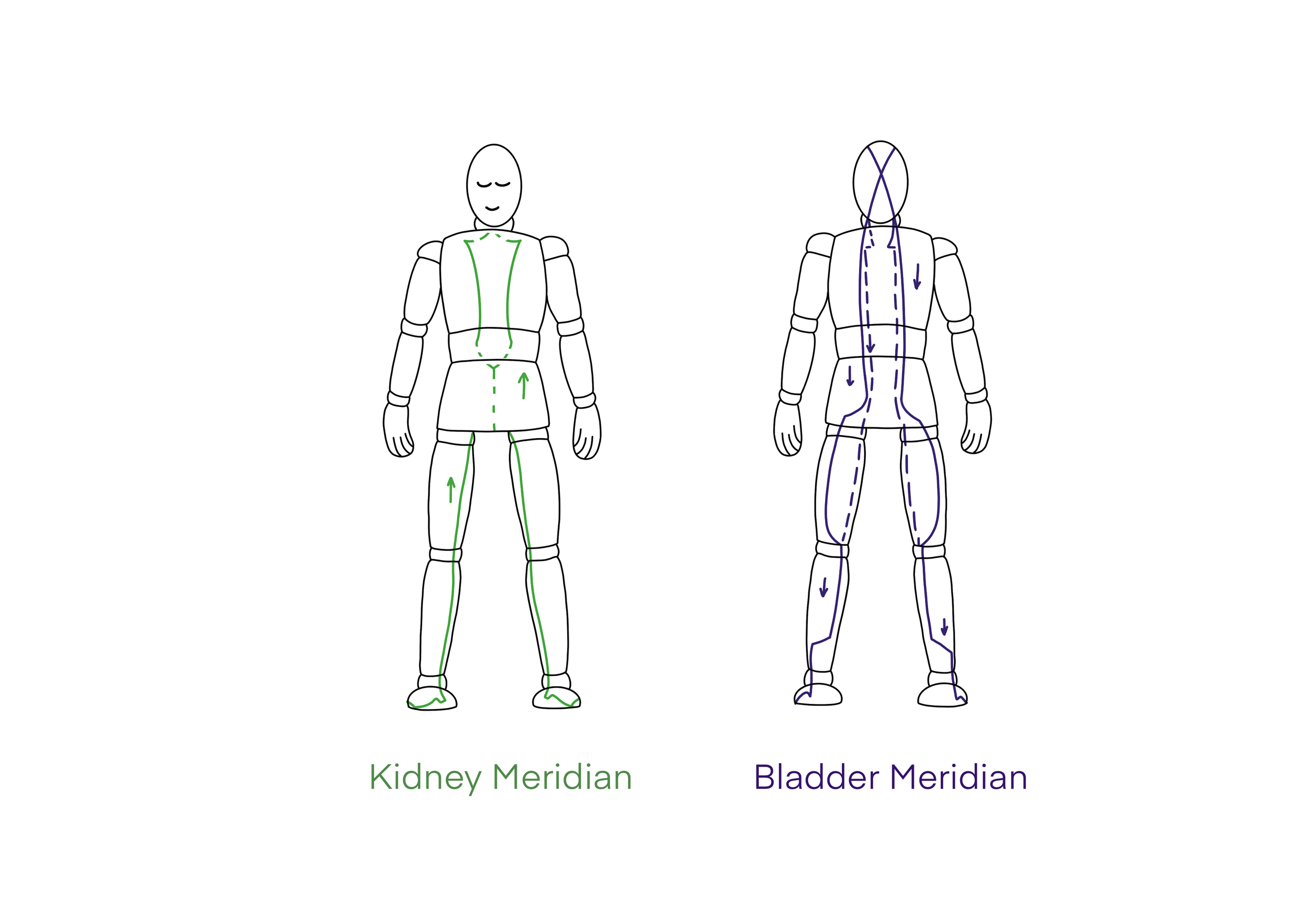 Kidney and Bladder Meridians Yin Yoga - Melanie Cooper Yoga