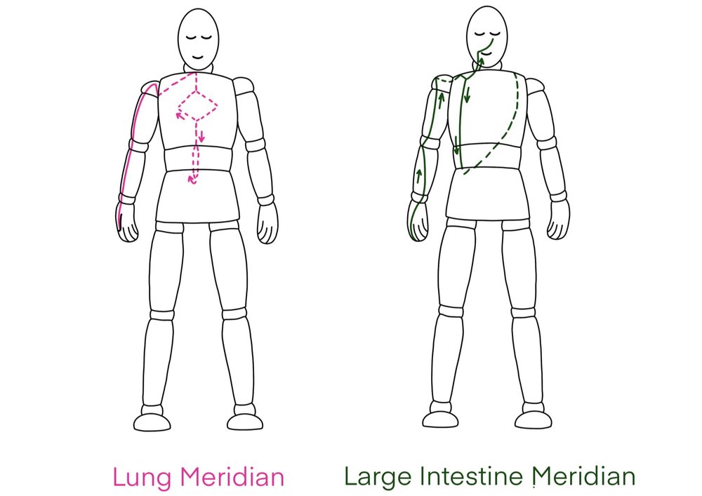 Lung and Large Intestine Meridians Yin Yoga - Melanie Cooper Yoga