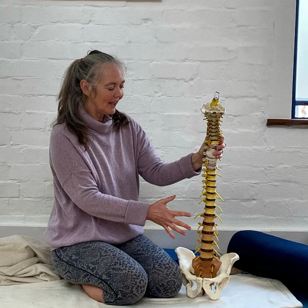 Yoga Anatomy : Embodied Wisdom in person in Derby - Melanie Cooper Yoga