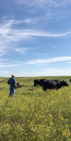 Current Funding Priorities — Cedar Tree Foundation