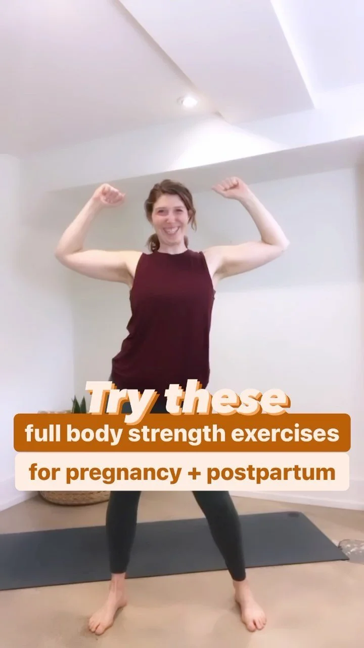 Clamshell Variations for your glutes and core! — & She Moves