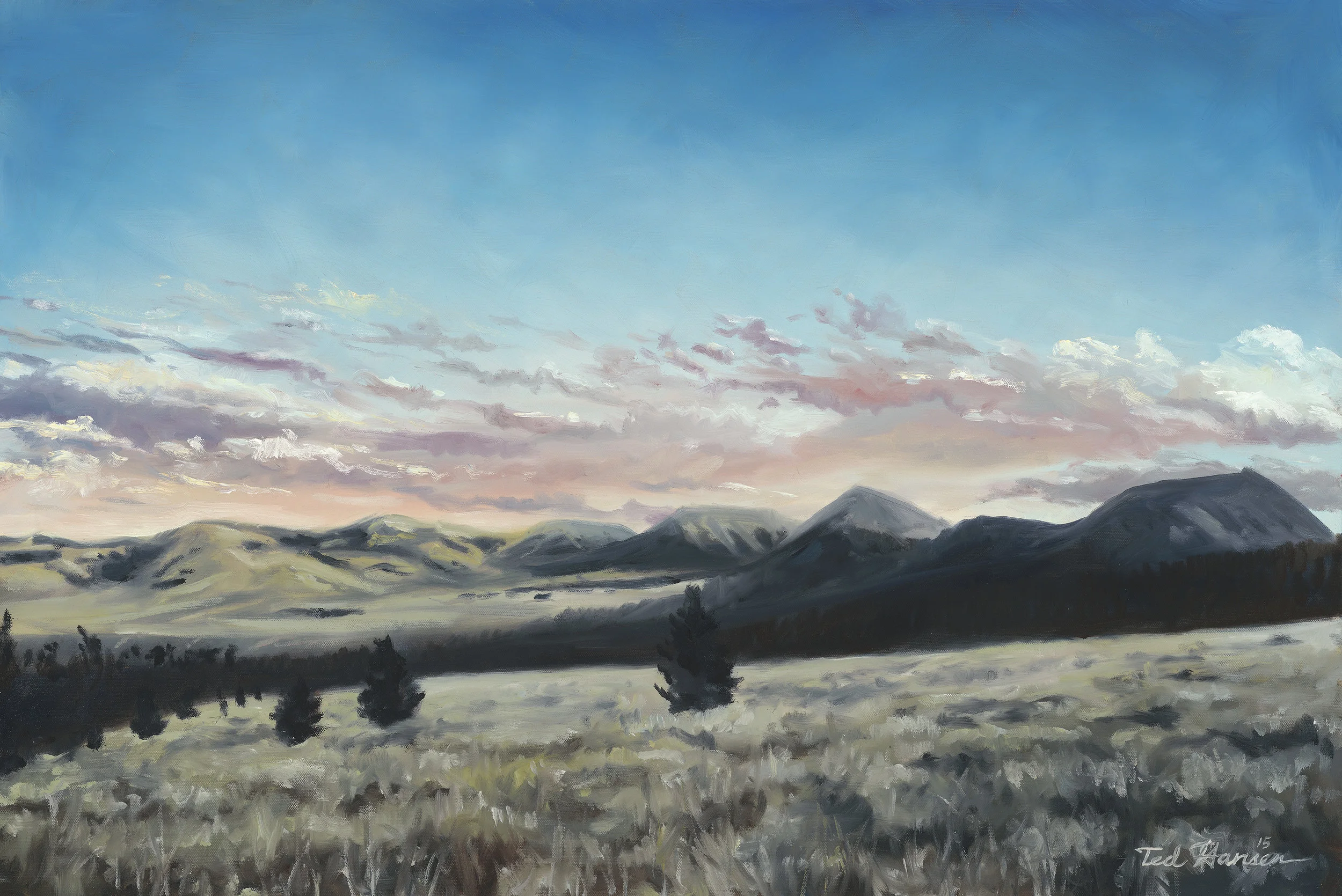 Ted C Hansen