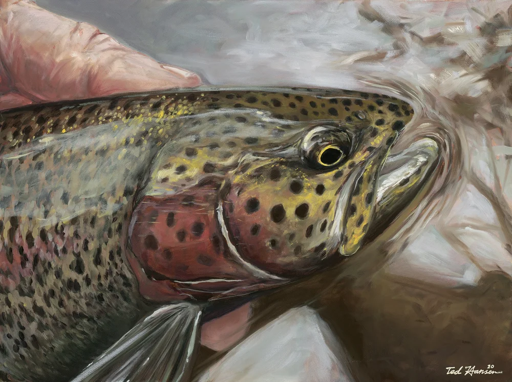 Fish and Fishing — Ted C Hansen