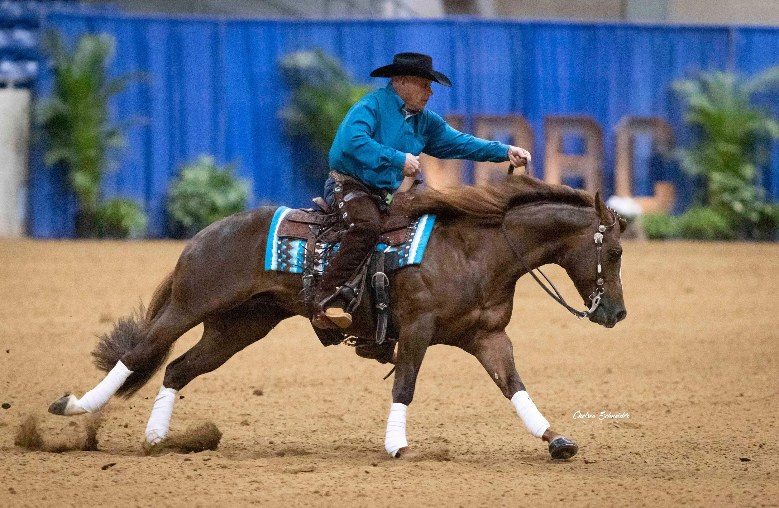 Quarter Horse Reining