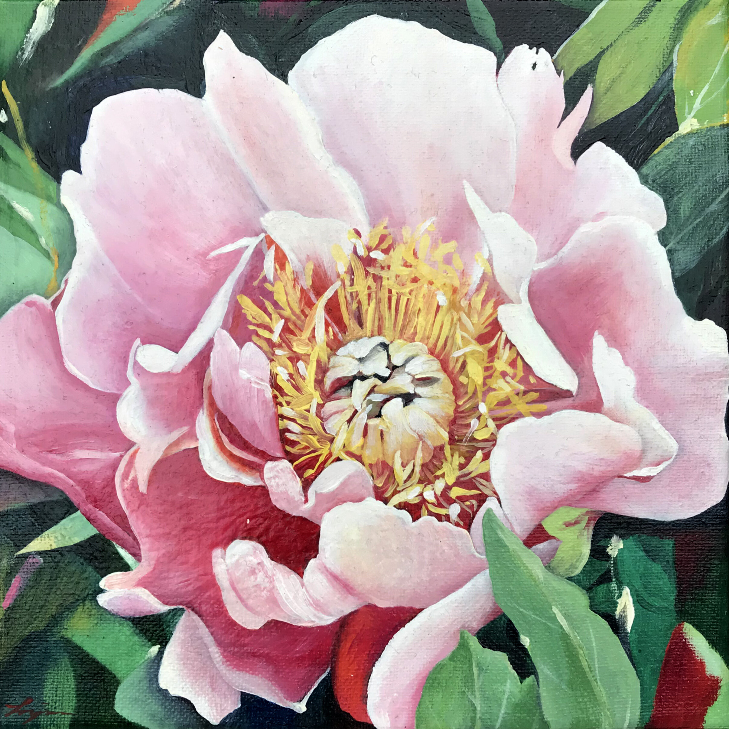 Paintings — Louise Jones