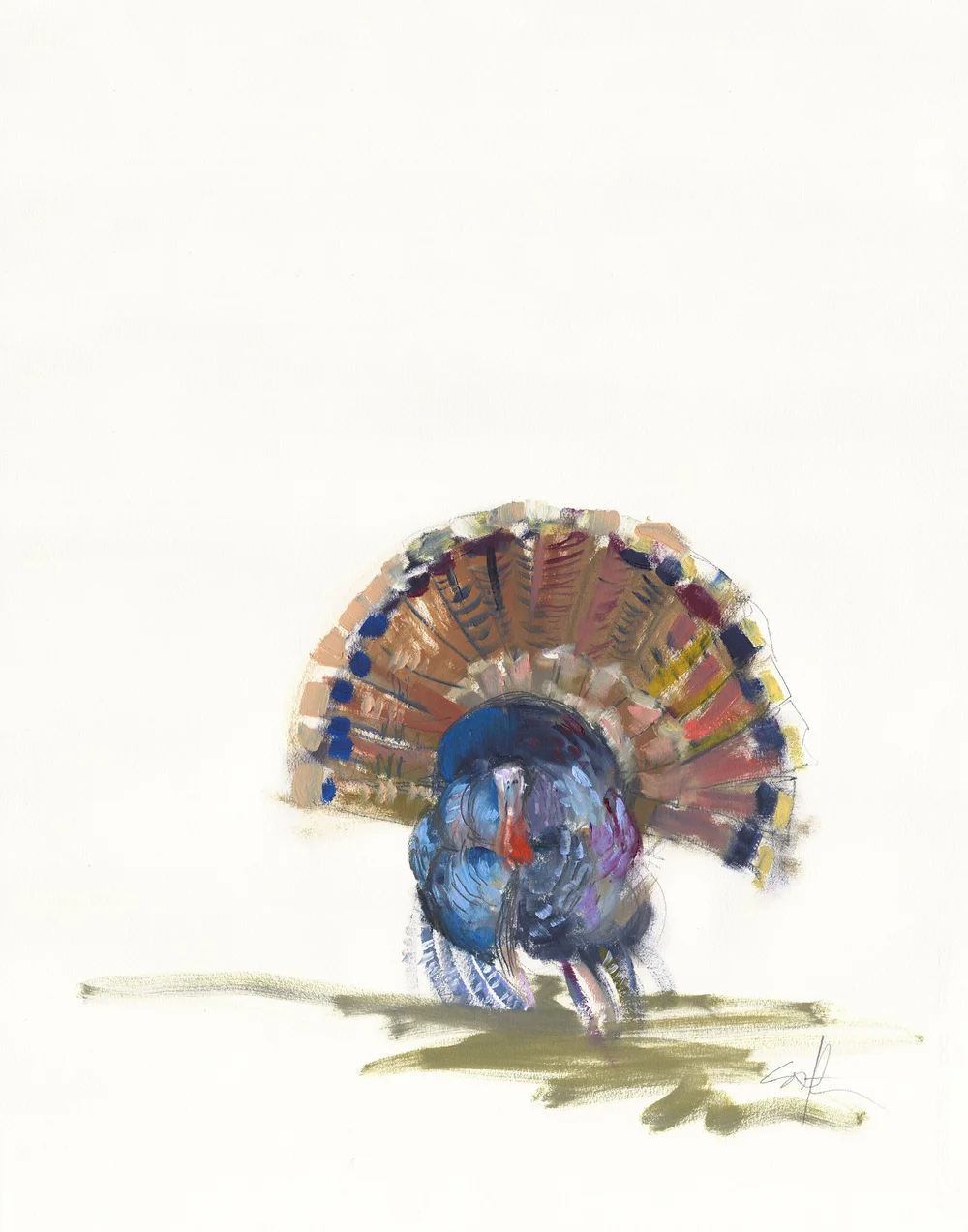 Easy Wild Turkey Drawings
