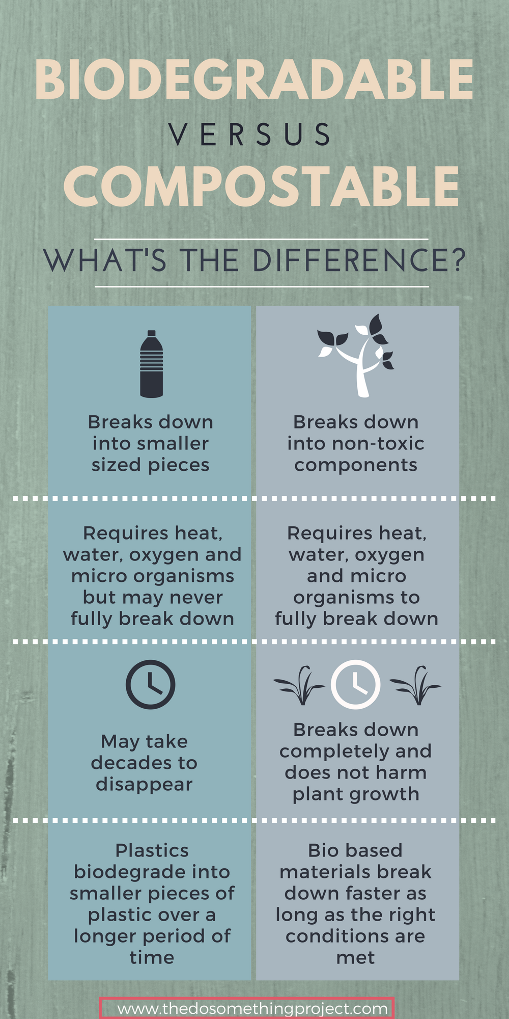 Biodegradable vs. Compostable: What's the Difference? — The Do ...