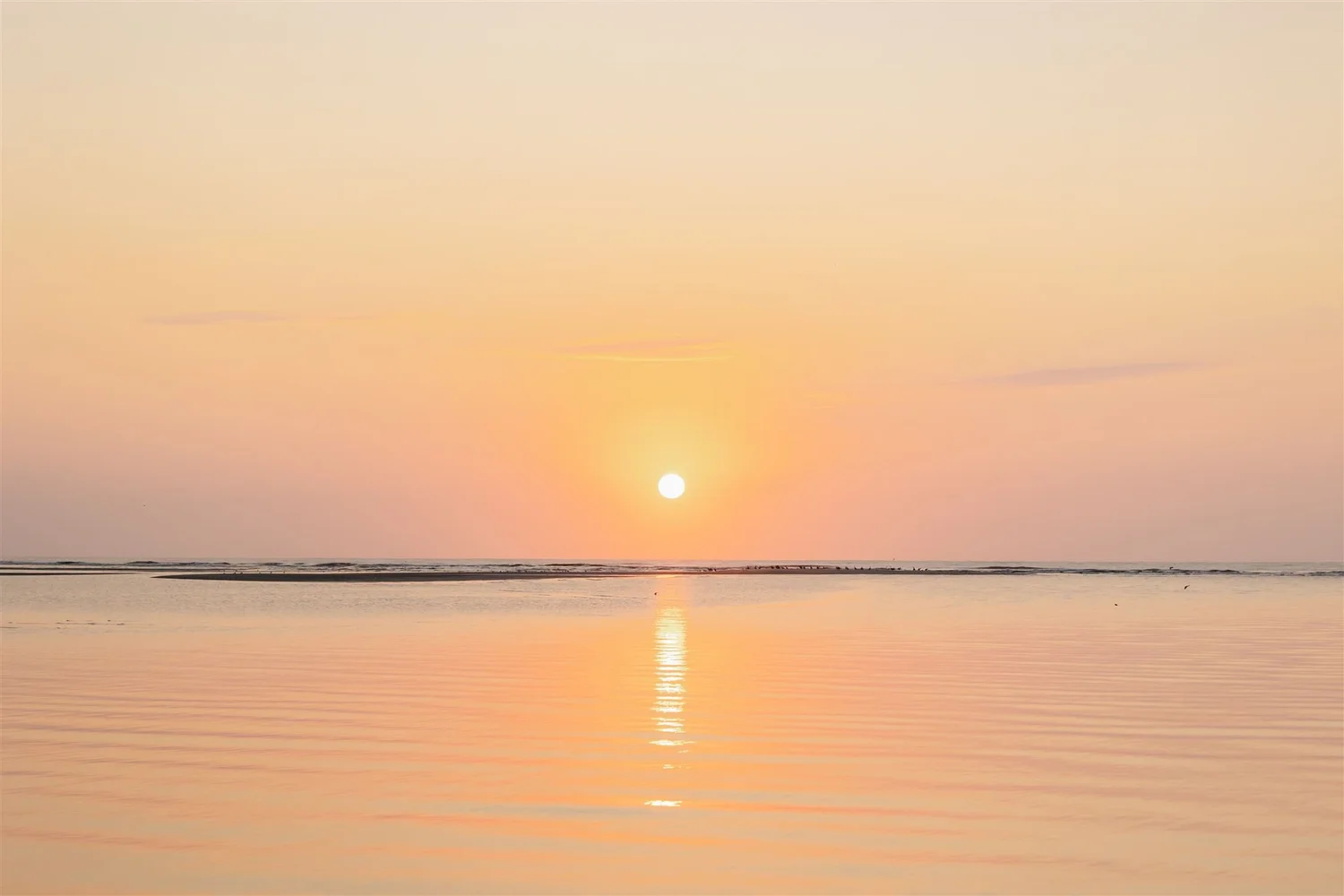 St. Simons Island East Beaches - My favorite photo spots! — Rainey ...