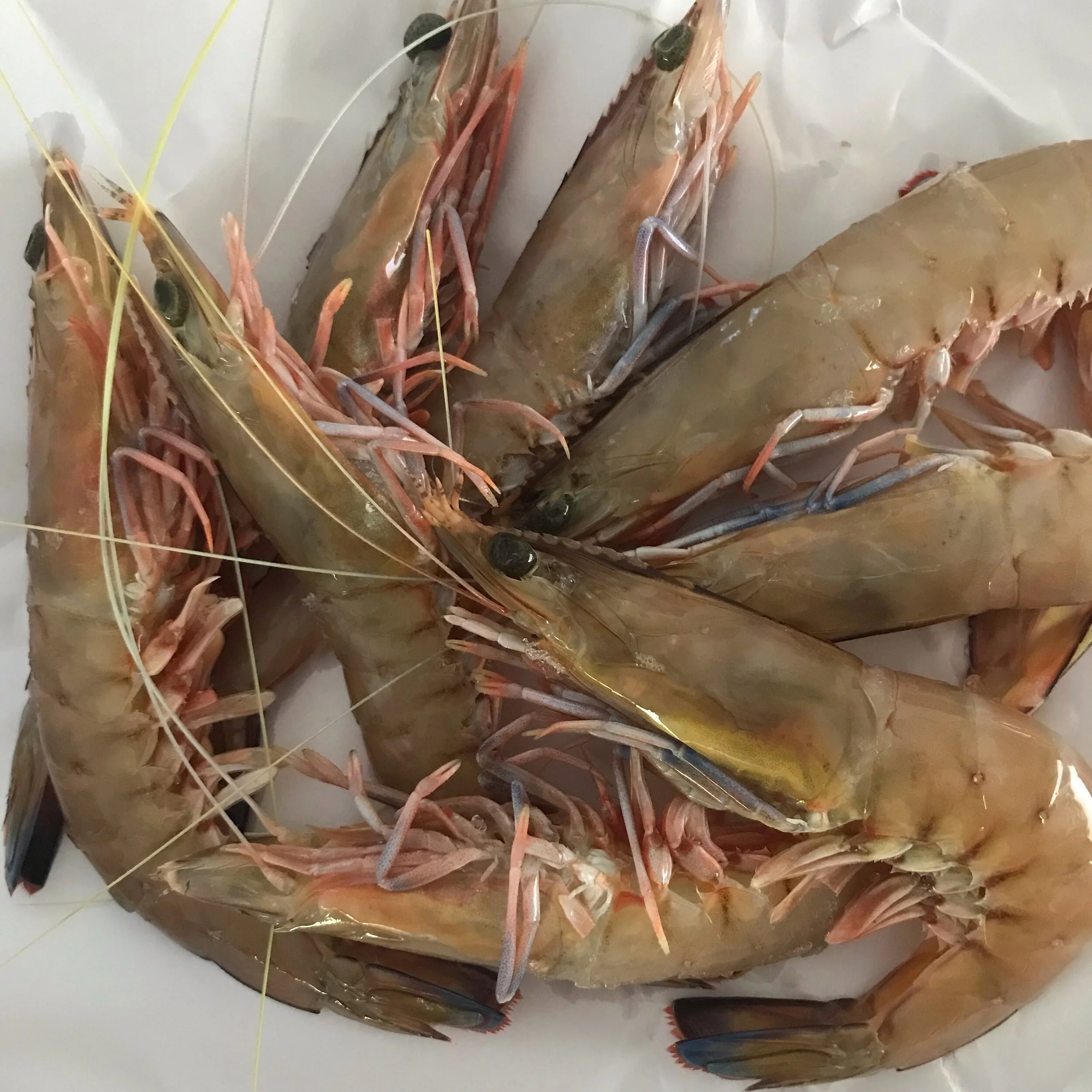 SWEET CHILLI PRAWNS WITH COCONUT RICE — THE COELIAC'S REVENGE